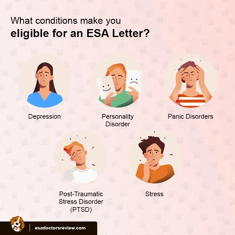 A 13-Step Guide to Quickly Get Approval for an ESA Letter