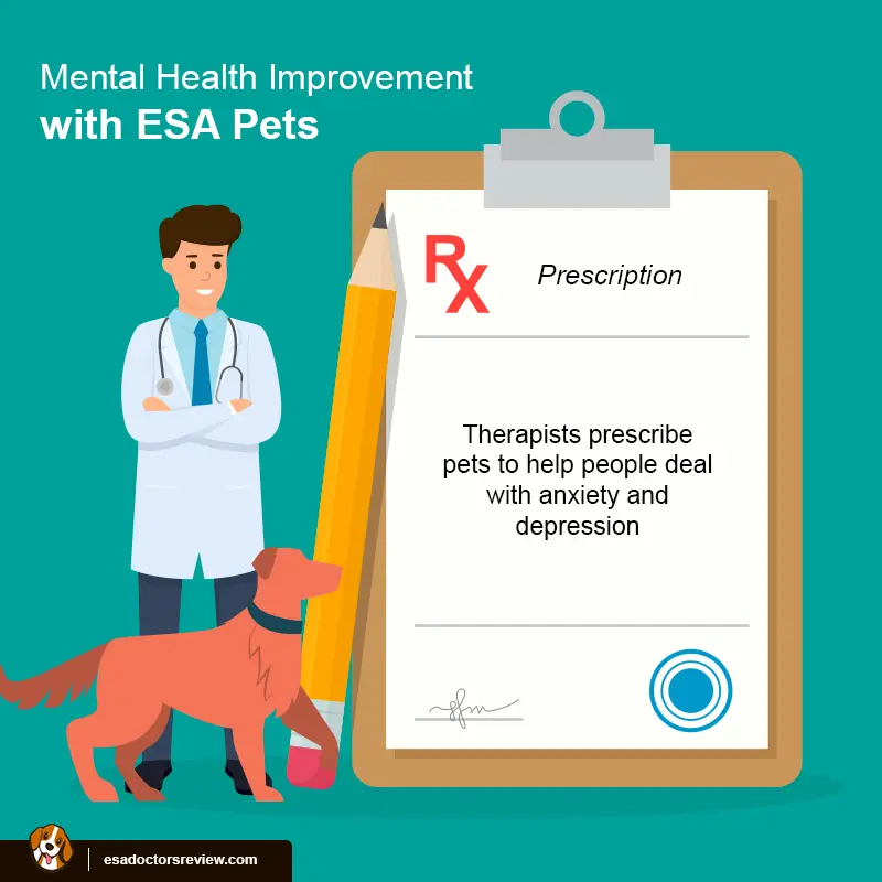 A 13-Step Guide to Quickly Get Approval for an ESA Letter