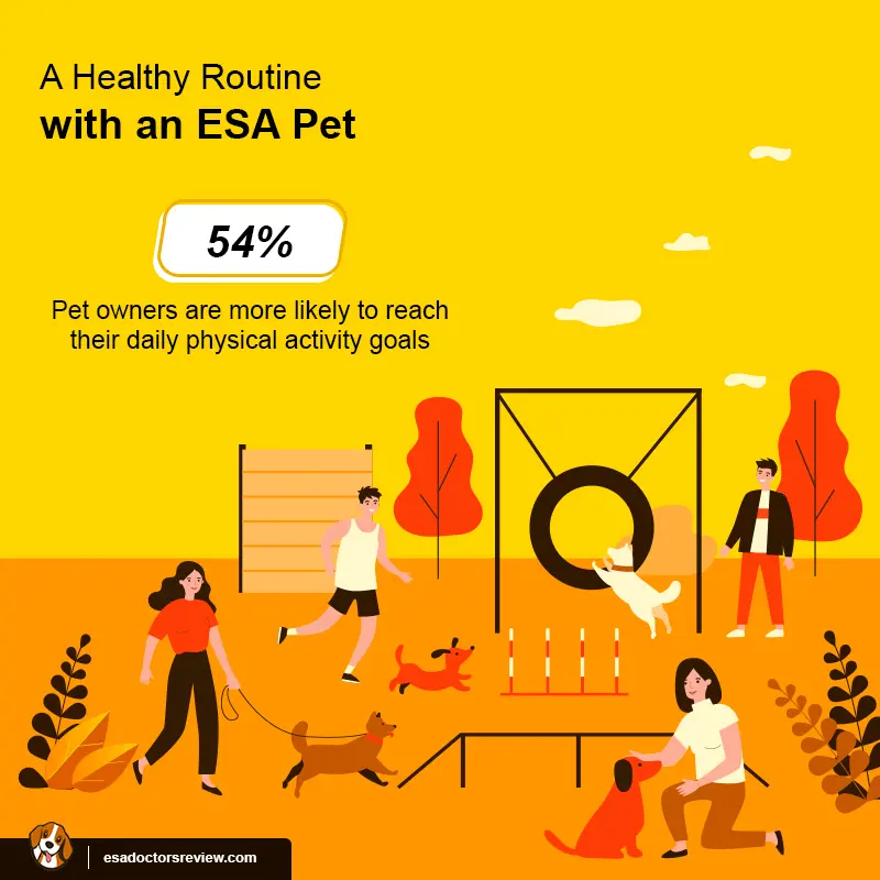 A 13-Step Guide to Quickly Get Approval for an ESA Letter