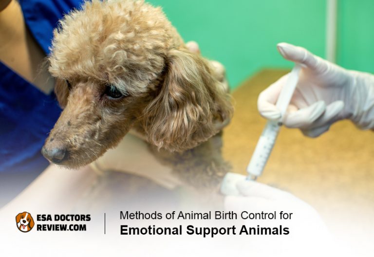 Methods of Animal Birth Control for Emotional Support Animals