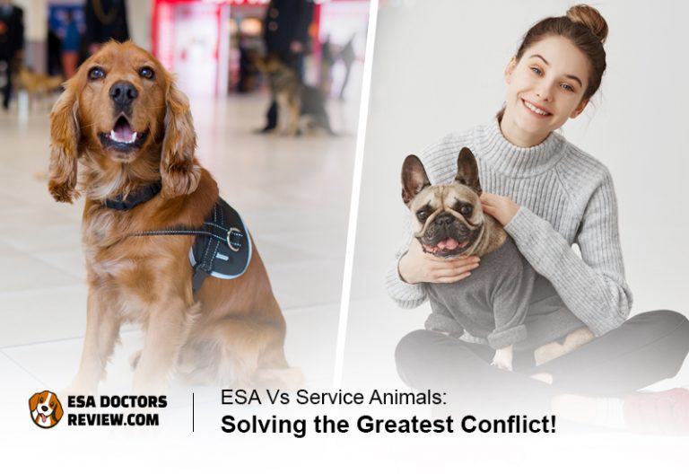 ESA vs Service Animals: Solving the Greatest Conflict! - ESA REVIEWS