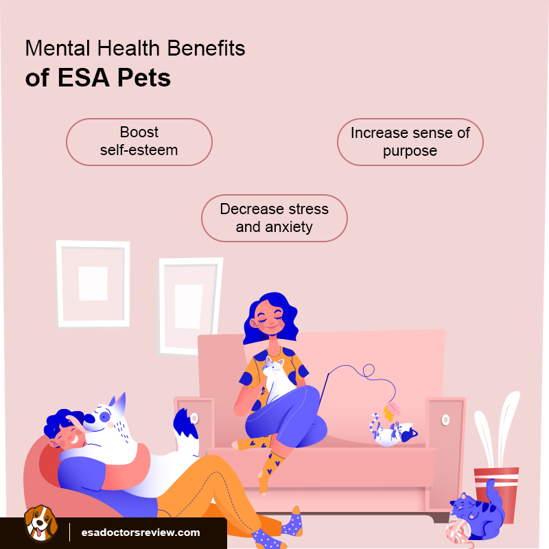 A Look At Emotional Support Animal Letter Sample