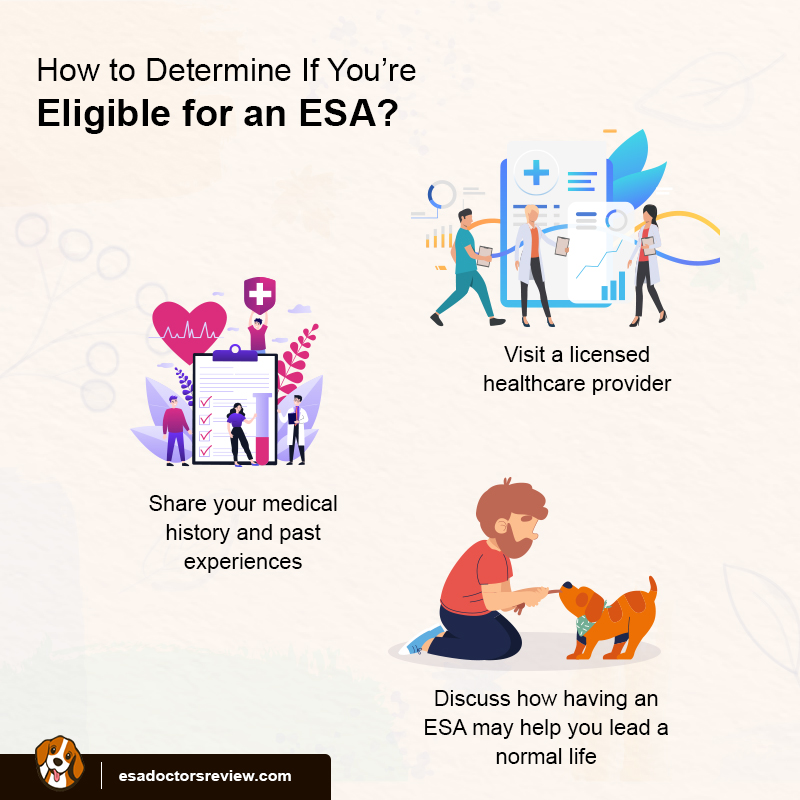 Get Answers to the 19 Most Asked Questions About ESAs!