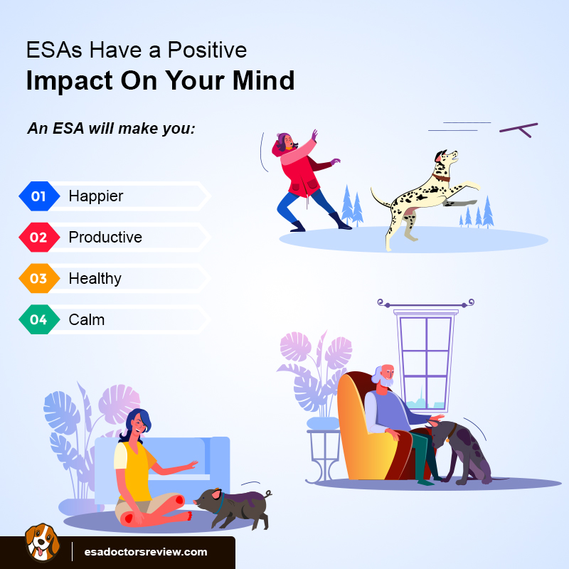 Get Answers to the 19 Most Asked Questions About ESAs!