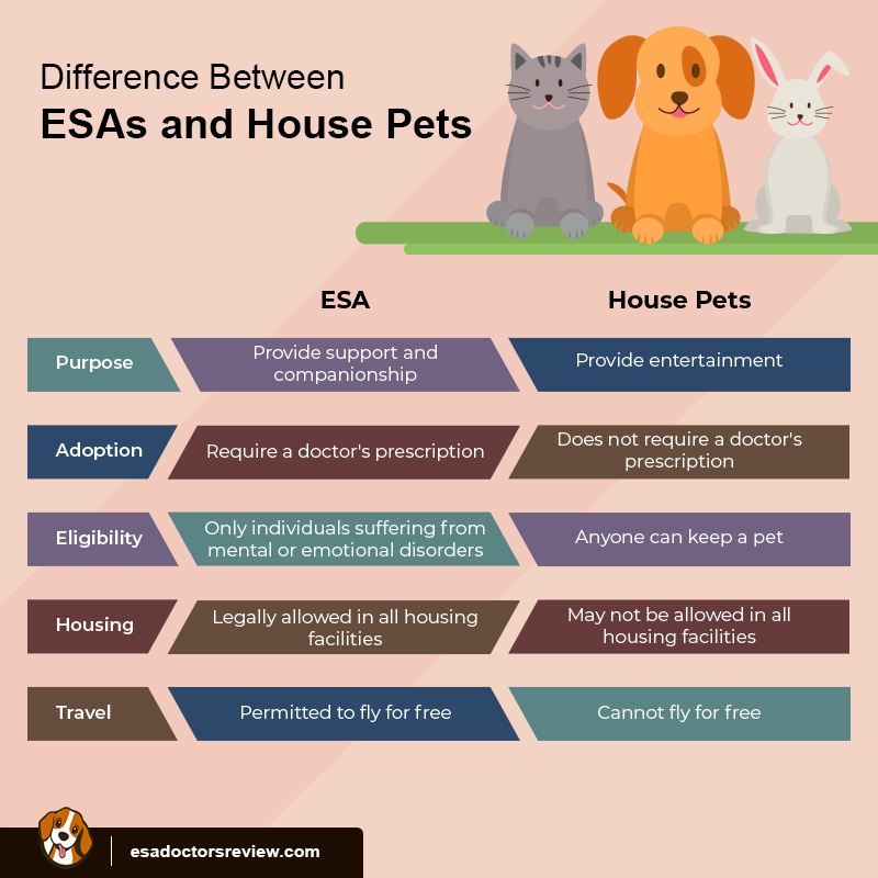 An Ultimate Guide on Emotional Support Animals Federal Laws