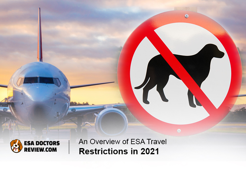 An Overview of ESA Travel restrictions in 2021